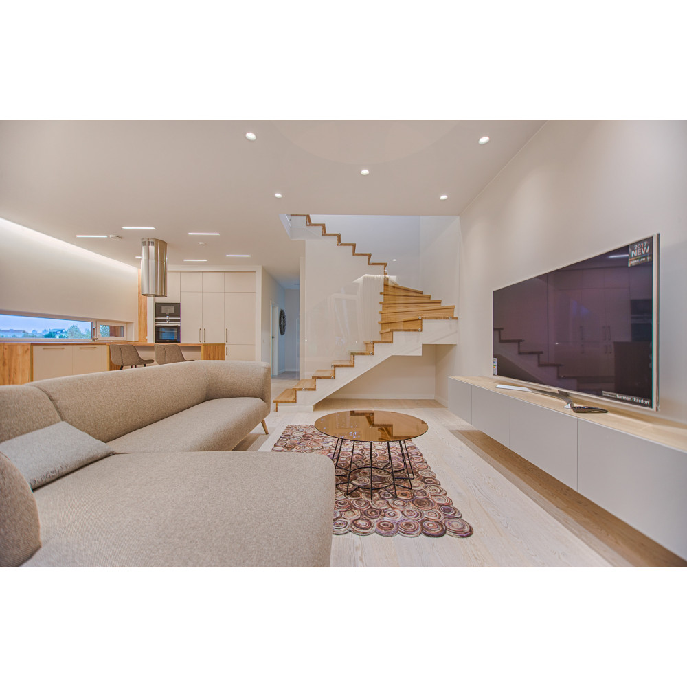 Residential Projects / Receiving Area - Sinaha Platform