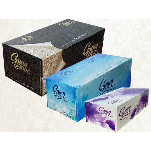 Facial Tissue 200 X 2 Ply White ( 30 Pack Per Carton ) - Sinaha Platform