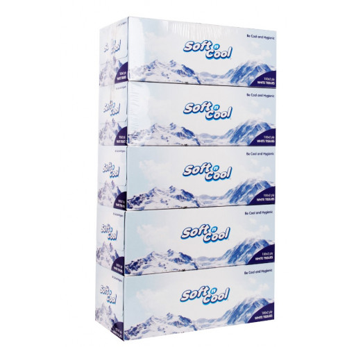 Soft n Cool Facial Tissue, 100 Pulls*2 ply-5 Box ( 6 Packs Per Carton ...