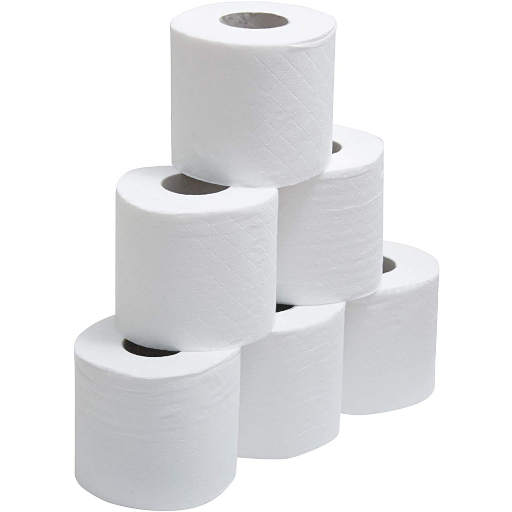 Soft n Cool - Toilet Roll 100 Sheets Pack of 10 Rolls ( 10 Packs Per ...
