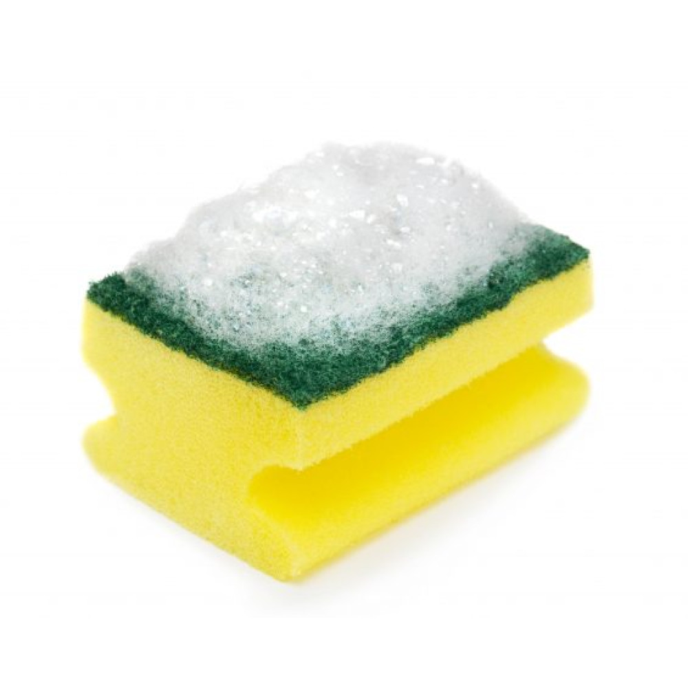 Scouring Sponges