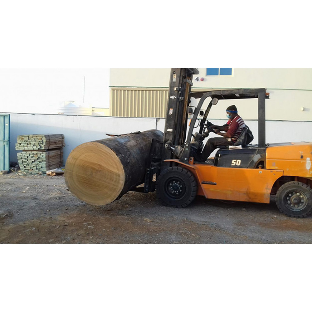 Saw Mill - Sinaha Platform