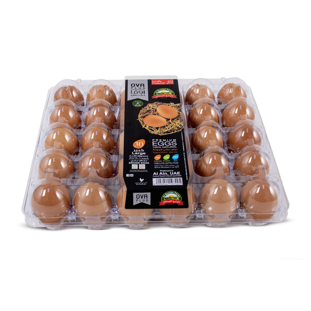 OVA PLUS Large Brown Tray (12 Tray Per Carton)